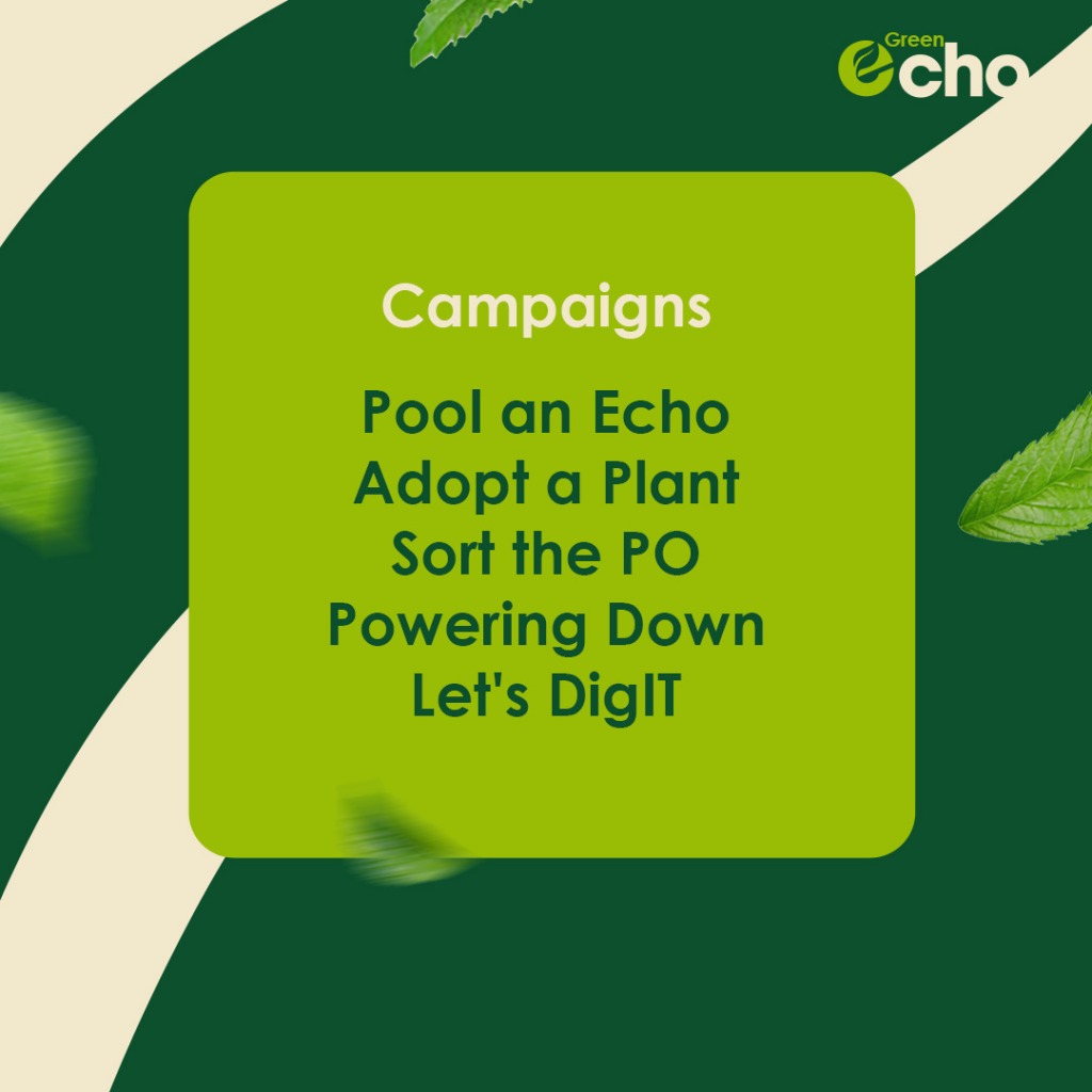 EchoHouse Goes Eco With Its New Echo Green Agenda – EchoHouse
